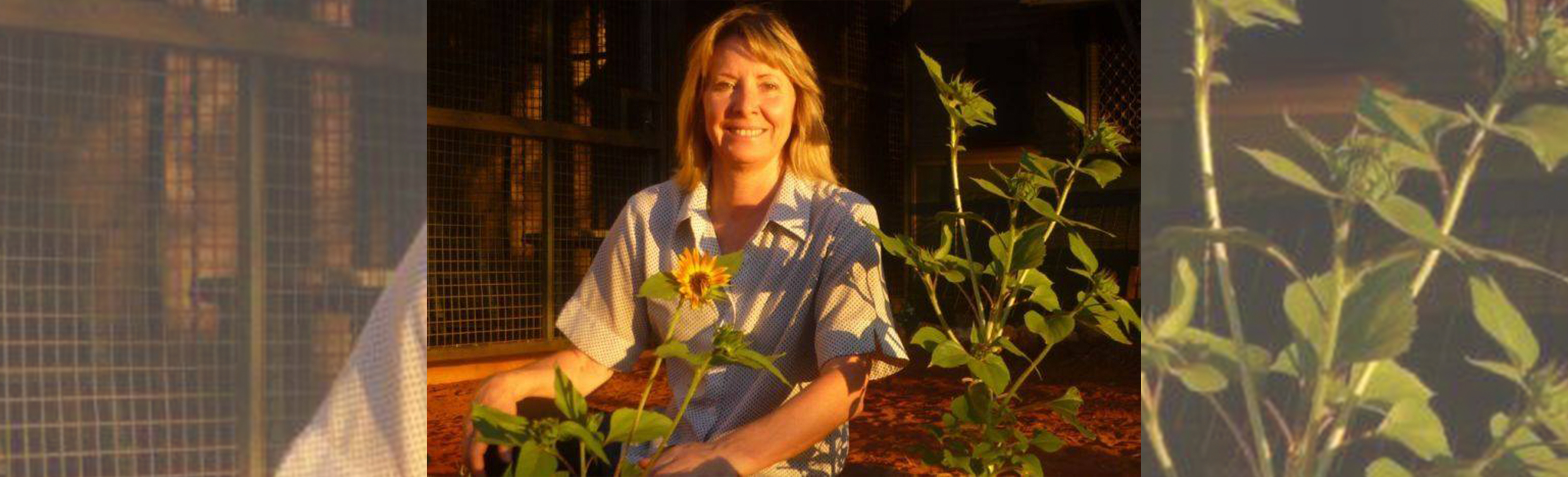 Decision not to prosecute over nurse’s murder 'absolutely shameful'